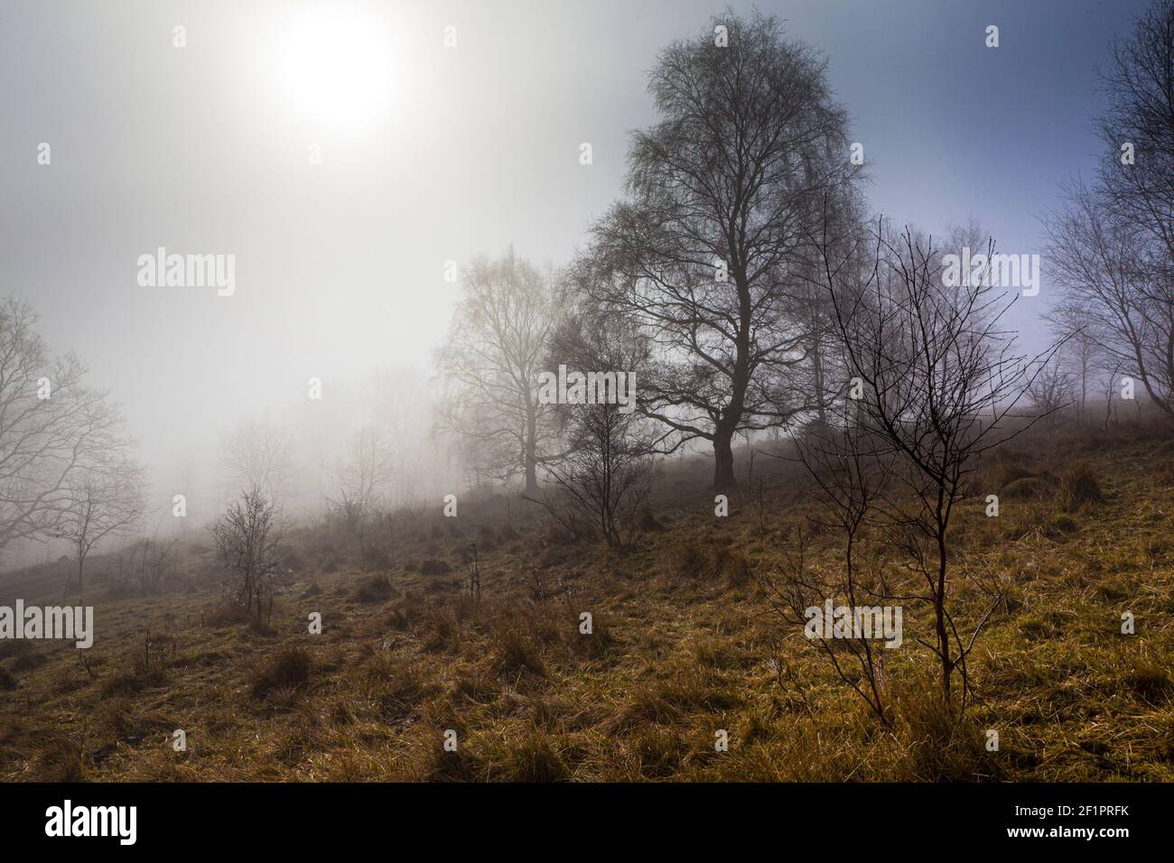 Fog at Rudge Hill, Edge Common - part of the Cotswold Commons ...