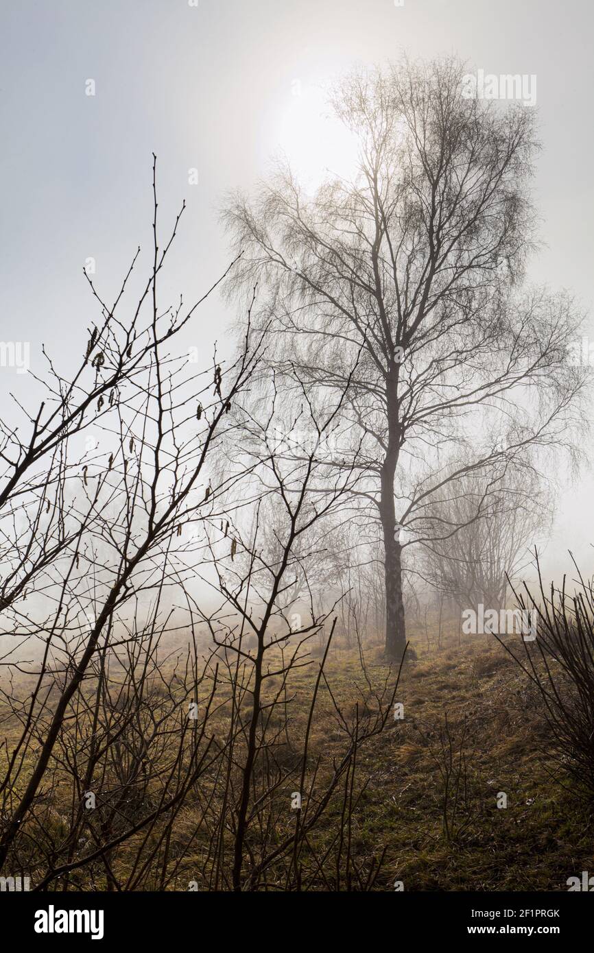 Edge cotswold hills cotswolds sdc hi-res stock photography and images ...