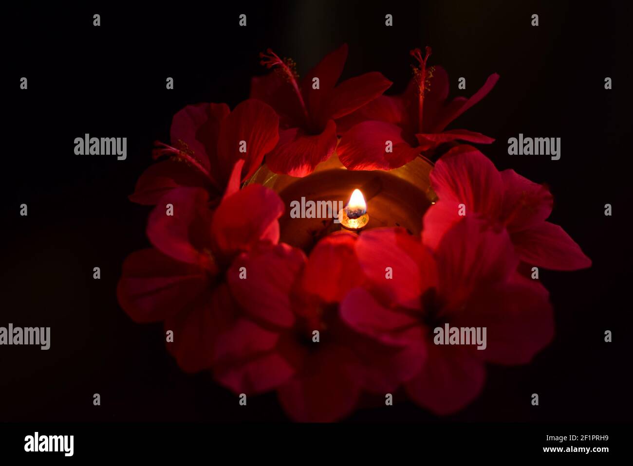Red flowers and lamp, Holi celebration scene Stock Photo - Alamy