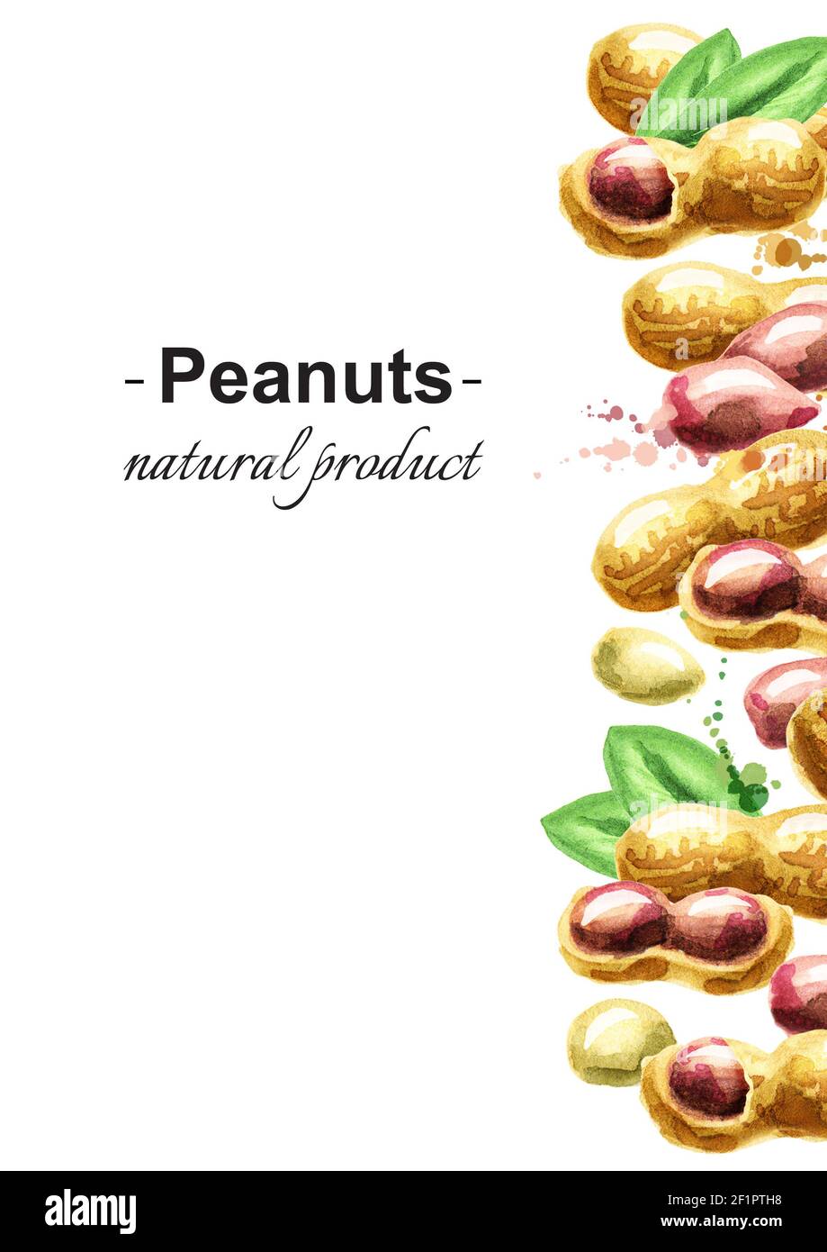 Peanutsl template. Watercolor background Stock Photo - Alamy