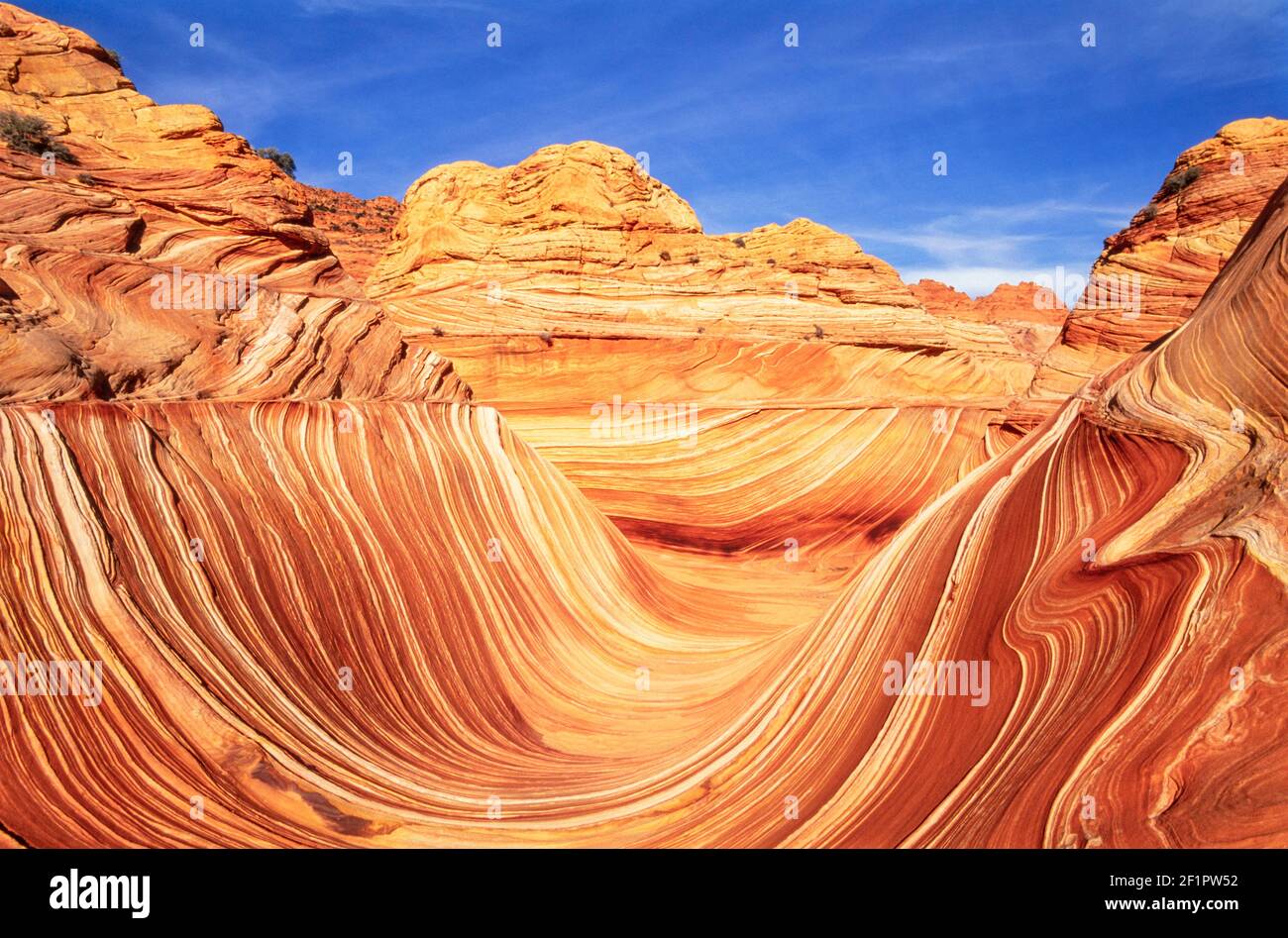 Grand Staircase Escalante The Wave