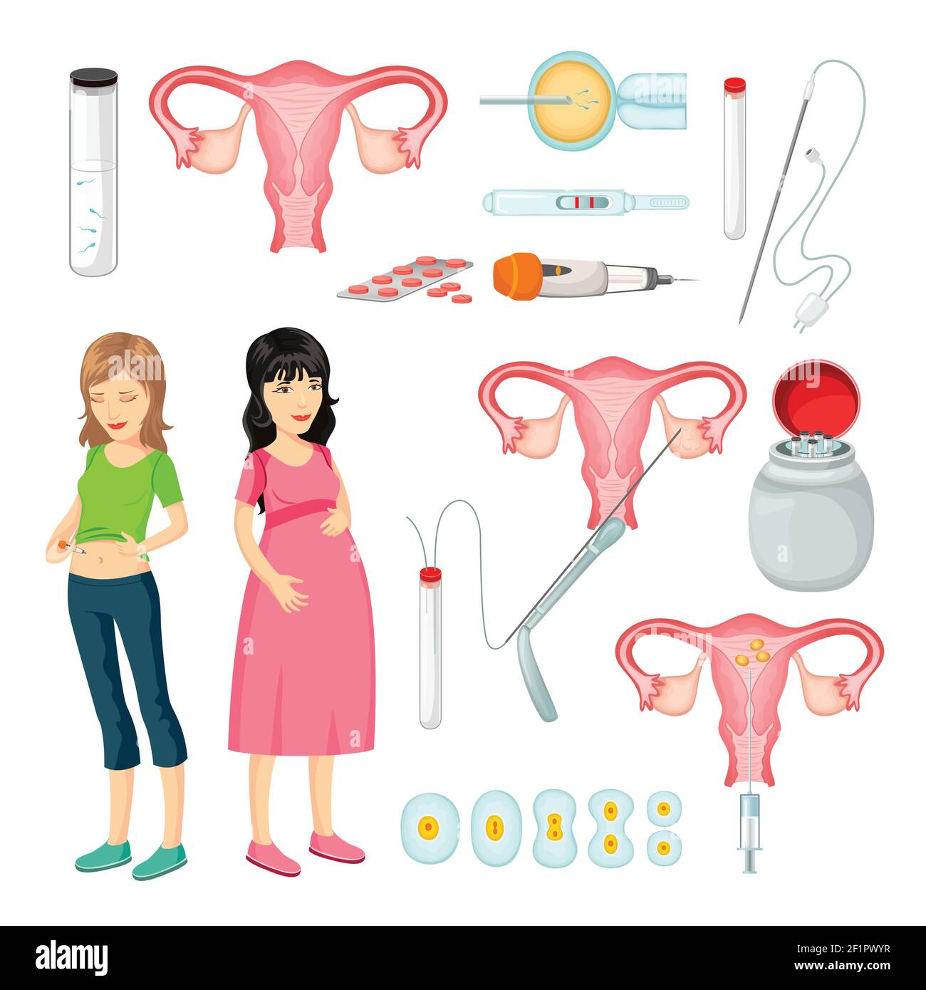 Female reproductive system High Resolution Stock Photography and Images ...