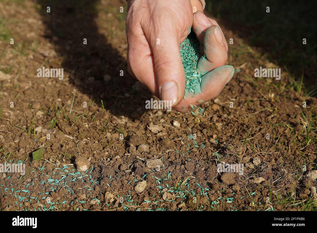 Spreading Seeds High Resolution Stock Photography and Images - Alamy