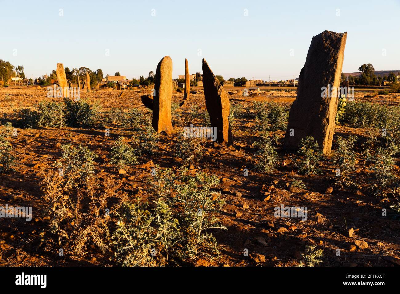 Ethiopia, Axum - Gudit Stelae field Stock Photo - Alamy