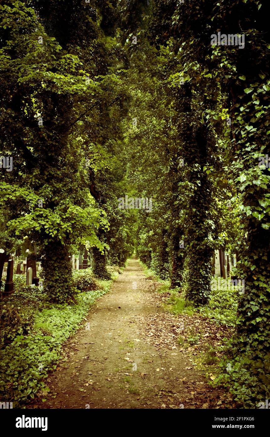 Vanishing Point Of Path High Resolution Stock Photography and Images ...