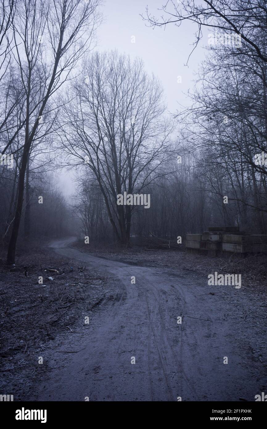 Eerie landscape hi-res stock photography and images - Alamy