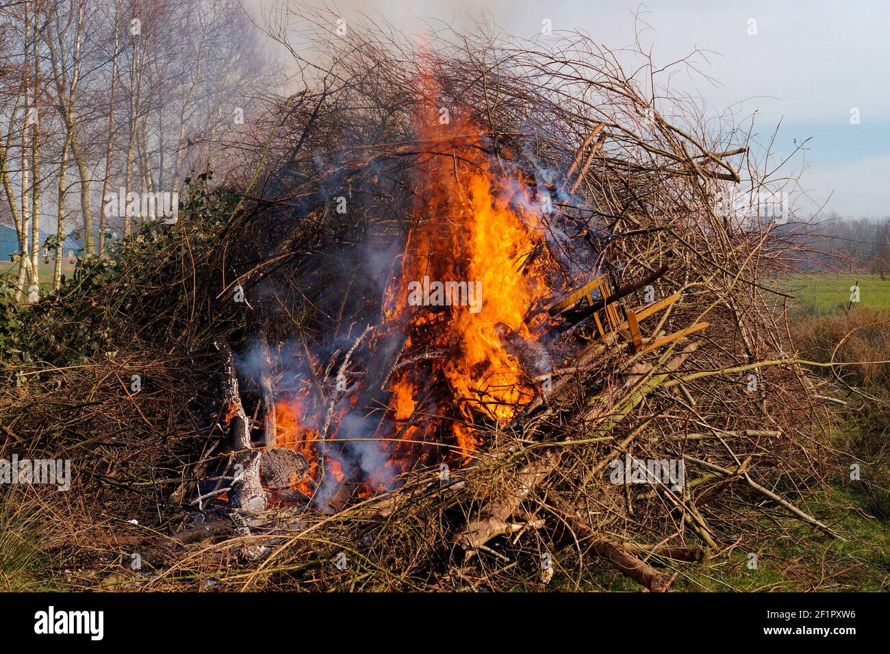 burning stubble in the field with fire flame Stock Photo - Alamy