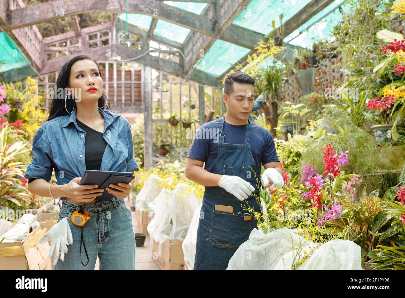 Packing plants hi-res stock photography and images - Alamy