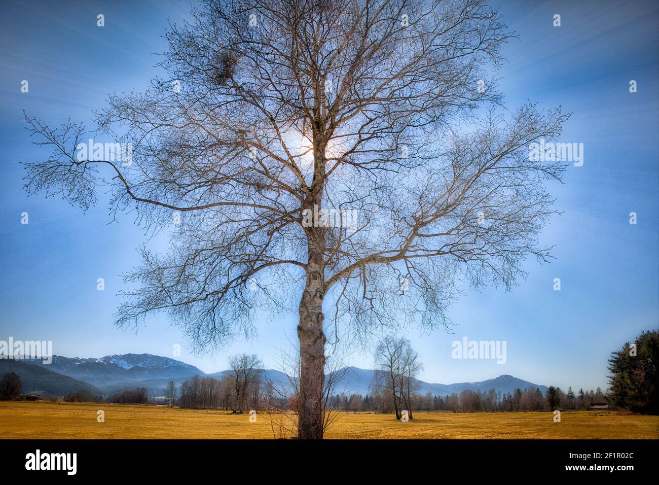 DE - BAVARIA: Early spring in the alpine moorlands near Benediktbeuern ...