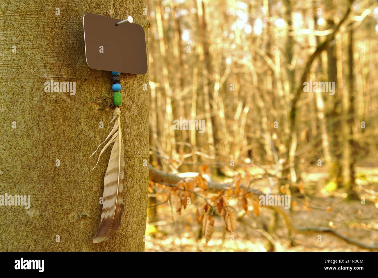 Forest Burial High Resolution Stock Photography and Images - Alamy
