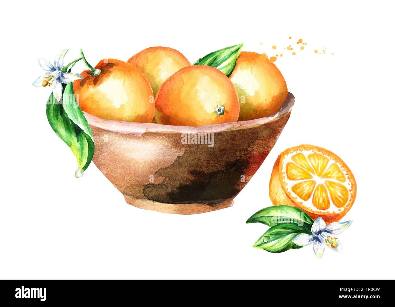 Bowl with orange fruits. Watercolor hand drawn illustration, isolated ...