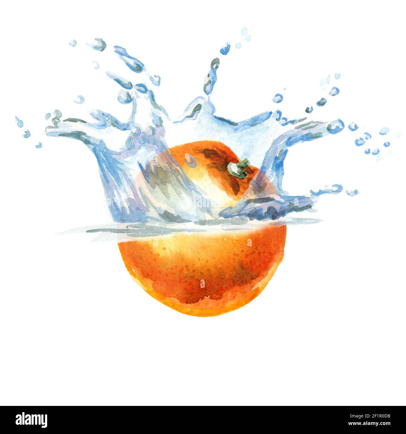 Fresh orange falling into water isolated on white background ...