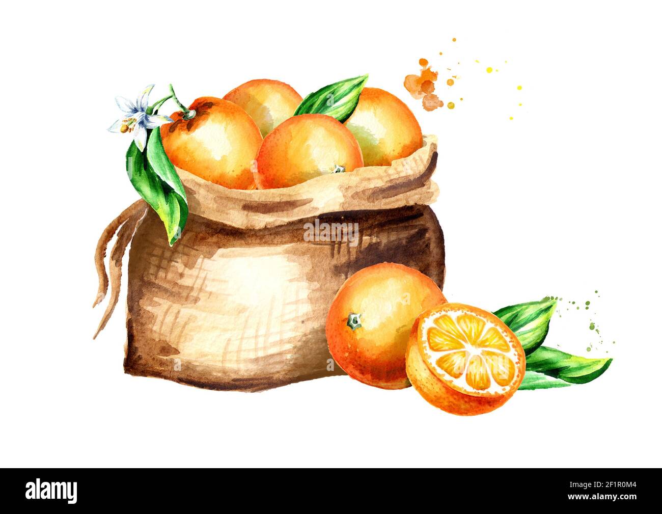 Sack of oranges.. Watercolor hand drawn illustration, isolated on white ...