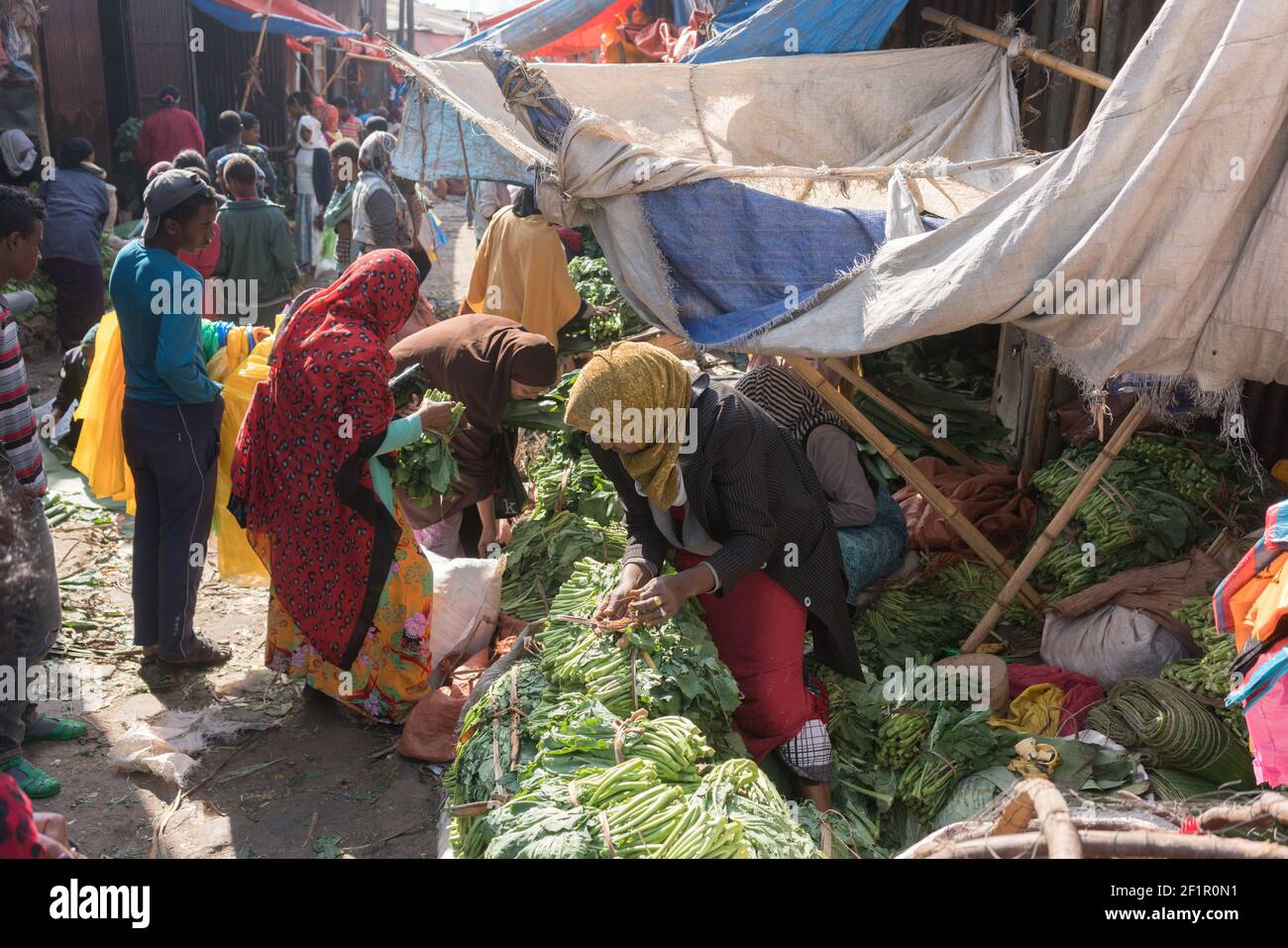 Market Addis Ababa Ethiopia Africa High Resolution Stock Photography ...