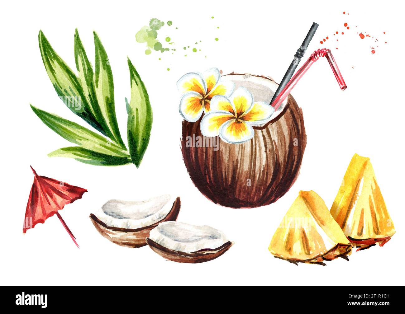 Pina colada cocktail elements set. Watercolor hand drawn illustration ...