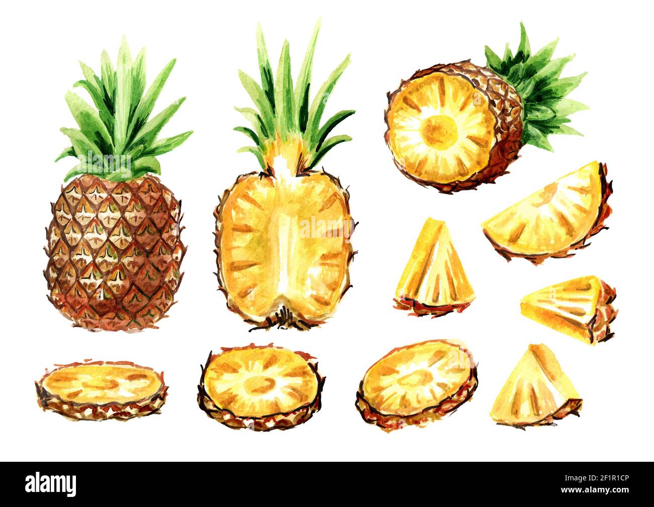 Pineapple elements set. Watercolor hand drawn illustration, isolated on ...