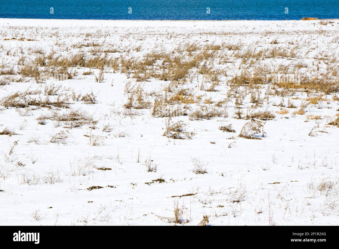 Winter landscape and view, sunlight and snow in Georgia, mountain ...