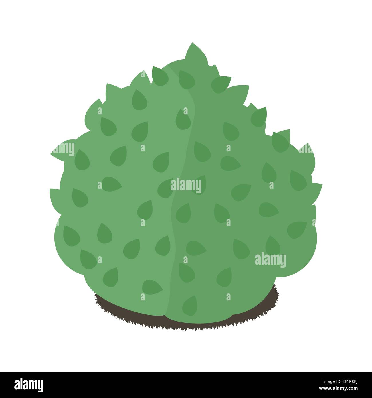 Green bush vector illustration on white background Stock Vector Image ...