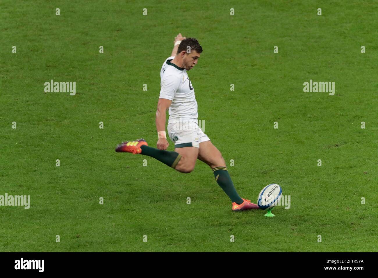 Springboks de rugby union hi-res stock photography and images - Alamy