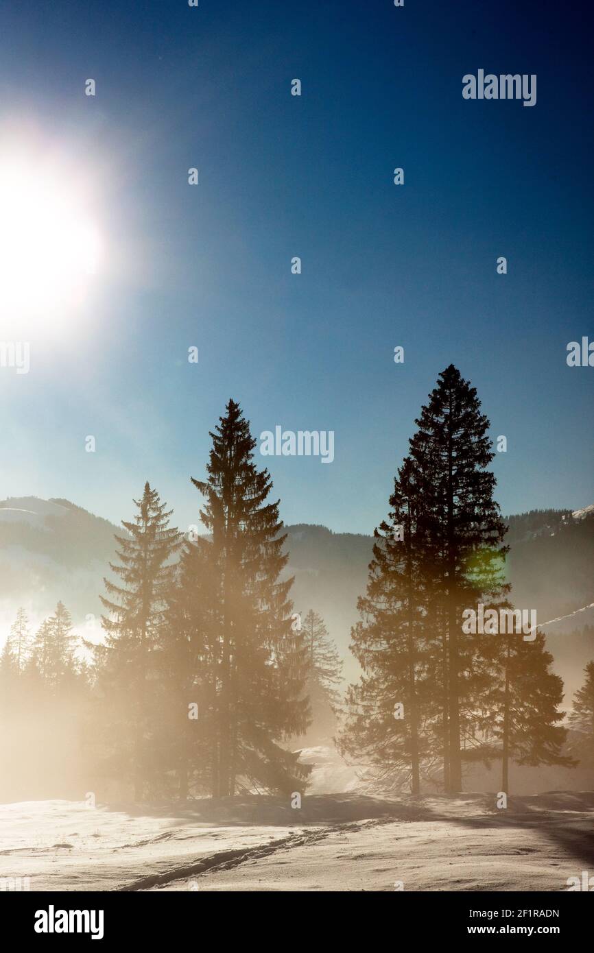 Christmas morning outside hi-res stock photography and images - Alamy