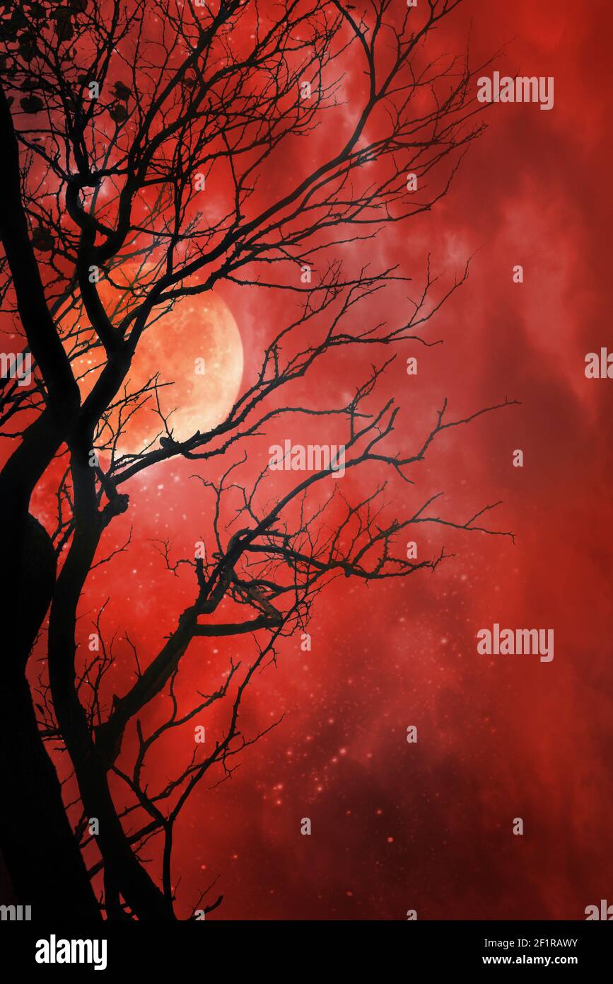 halloween background with red moon and dead tree Stock Photo - Alamy