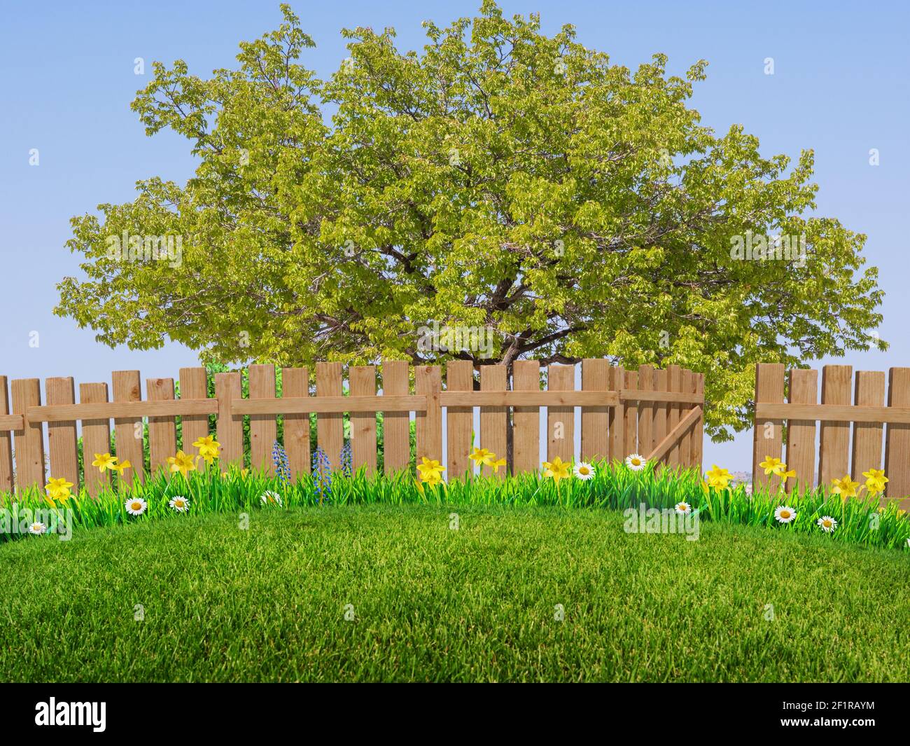 green grass meadow and spring flowers at backyard background Stock ...