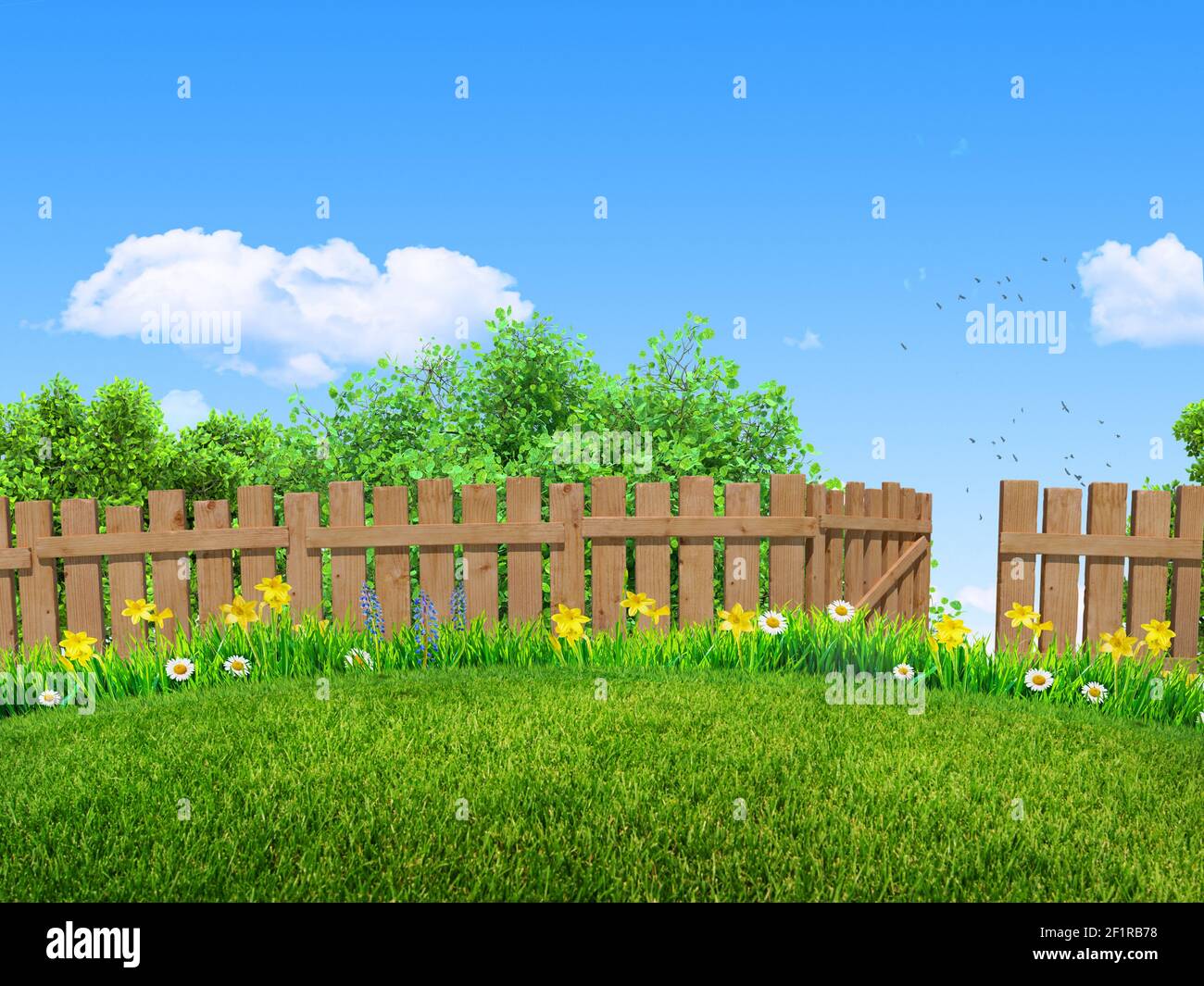 green grass and spring flowers at backyard background Stock Photo - Alamy