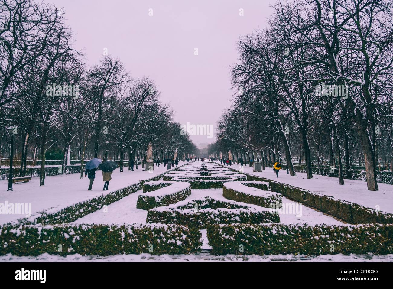 People walking around Retiro park during the largest snow blizzard in ...