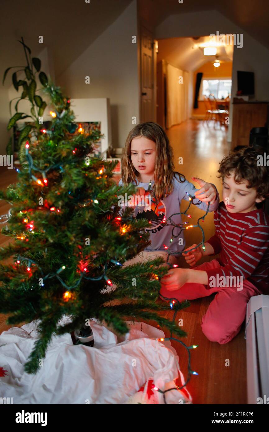 Decorate a tree hi-res stock photography and images - Alamy
