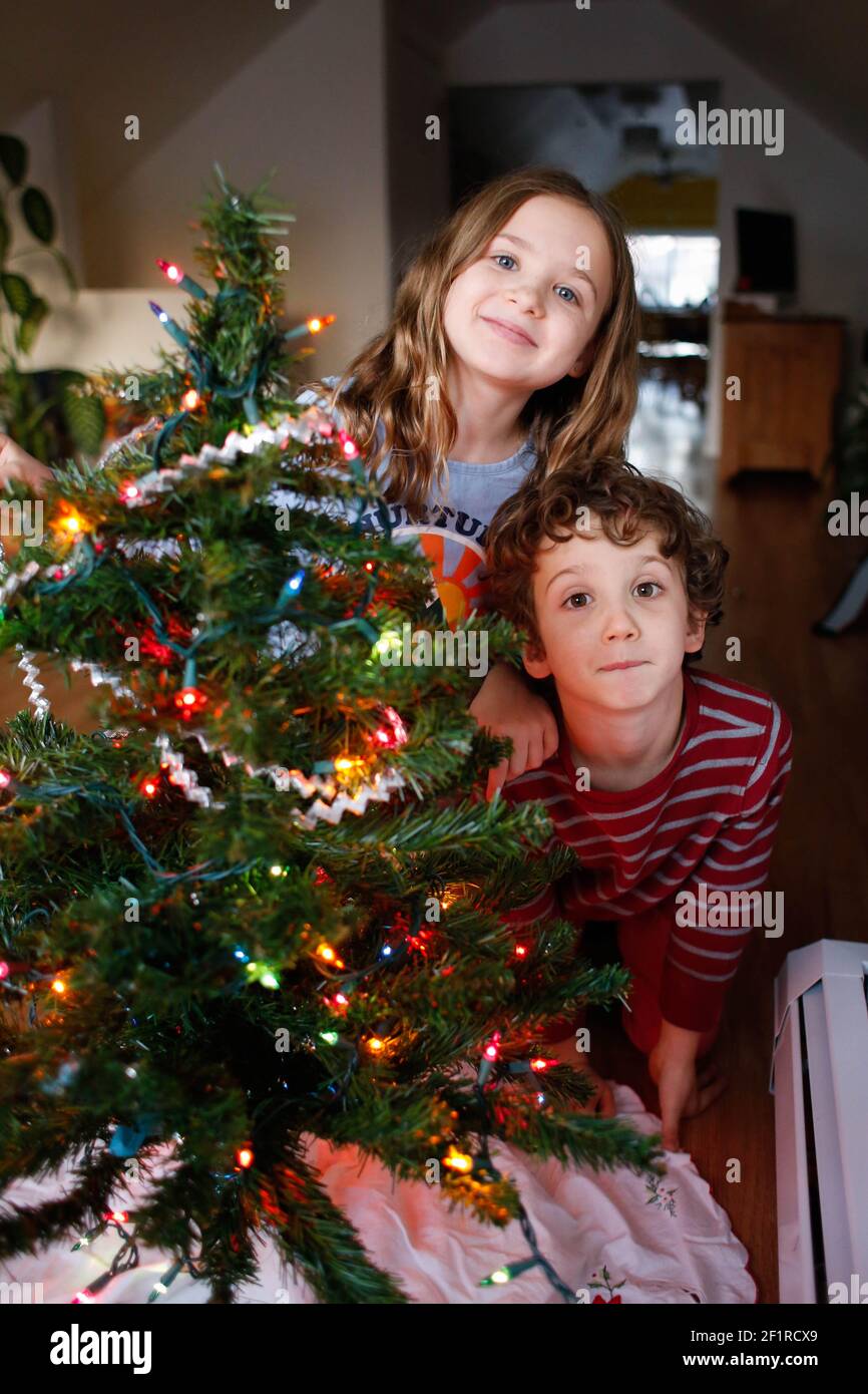 Decorate a tree hi-res stock photography and images - Alamy