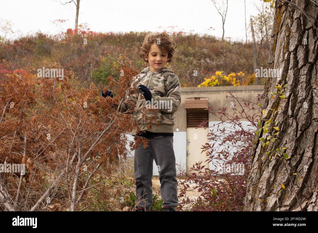 A boy exploring the outdoors in cold weather Stock Photo - Alamy