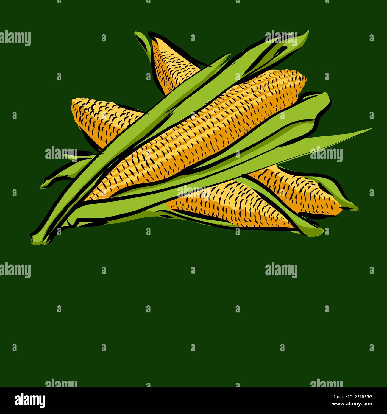 Sugar beet seed Stock Vector Images - Alamy