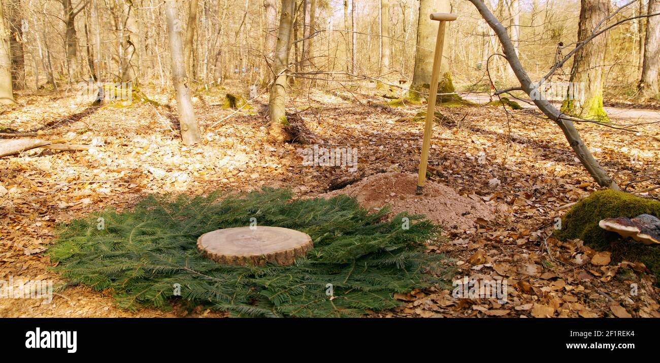 Woodland Cemetery High Resolution Stock Photography and Images - Alamy