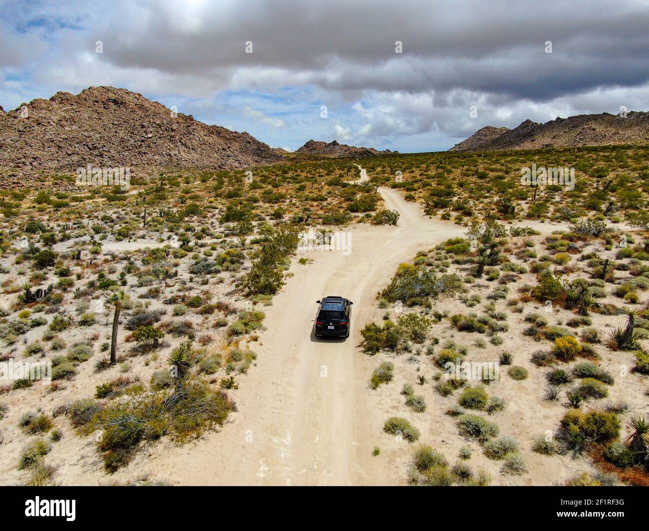 Aerial view of 4x4 car driving off road in the desert. Joshua Tree ...