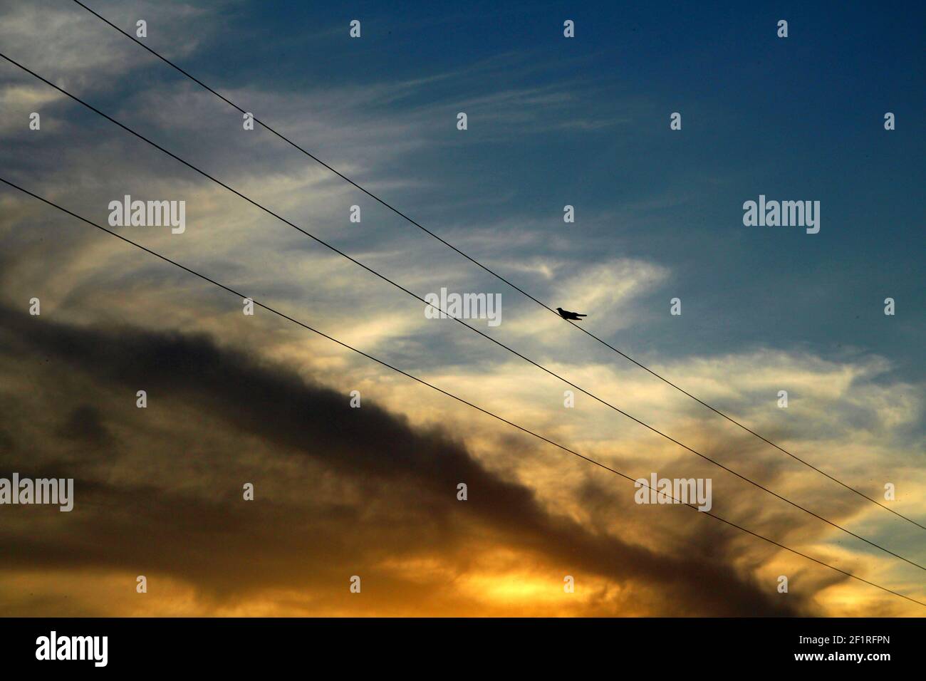 Dramatic clouds with a bird sitting on a wire Stock Photo - Alamy