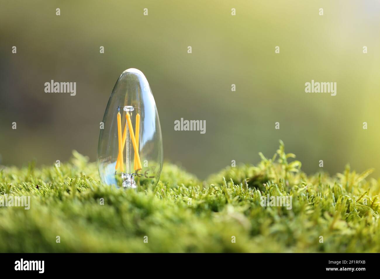 Energy of nature. Alternative energy sources concept.concept idea clean ...