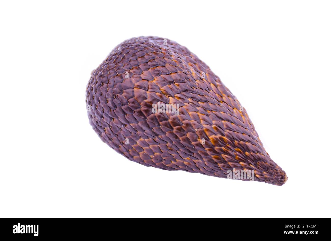 Salak or snake fruit isolated on white background. Tropcal food Stock ...