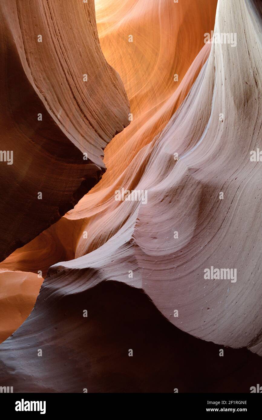 Vertical sandstone wall, Lower Antelope Canyon, Hasdestwazi, LeChee ...