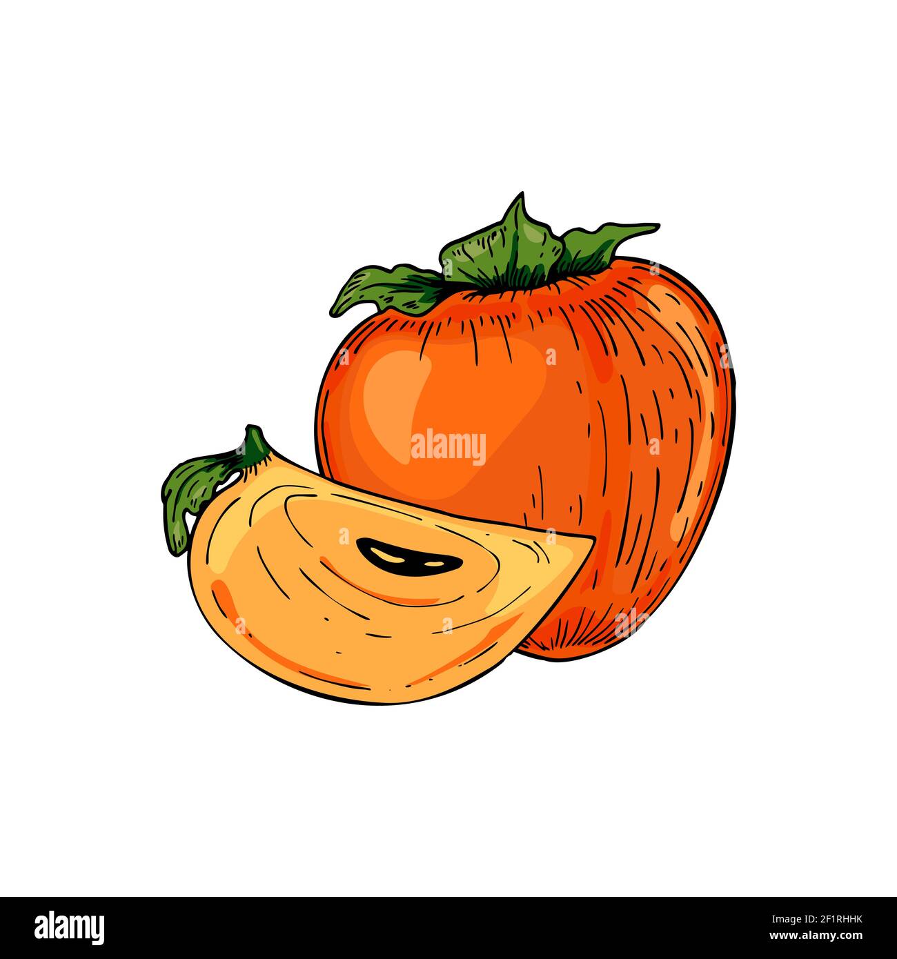 Hand drawn persimmon fruit with a slice isolated on white background ...