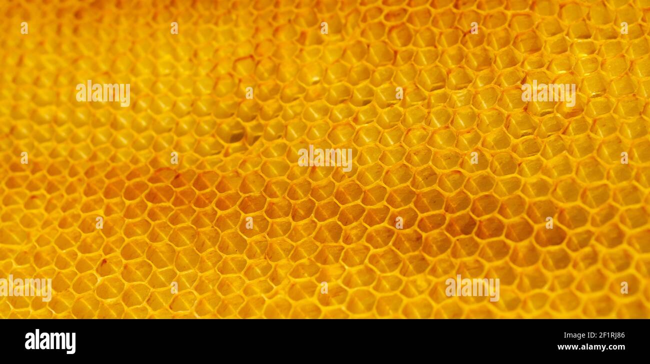 Hexagonal textured honeycomb background close-up. Black broun yellow ...
