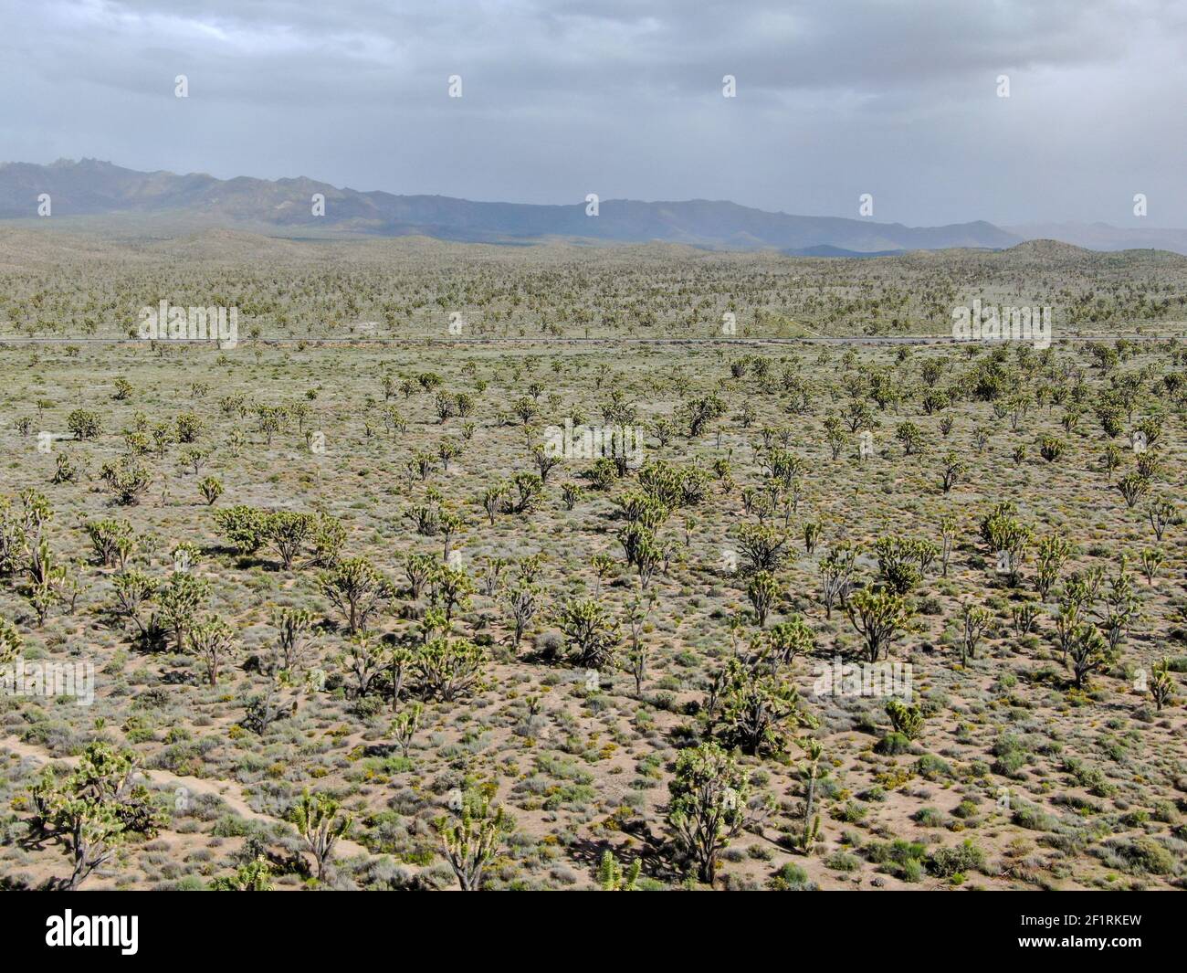 Aerial view of Joshua Tree National Park. American desert national park ...