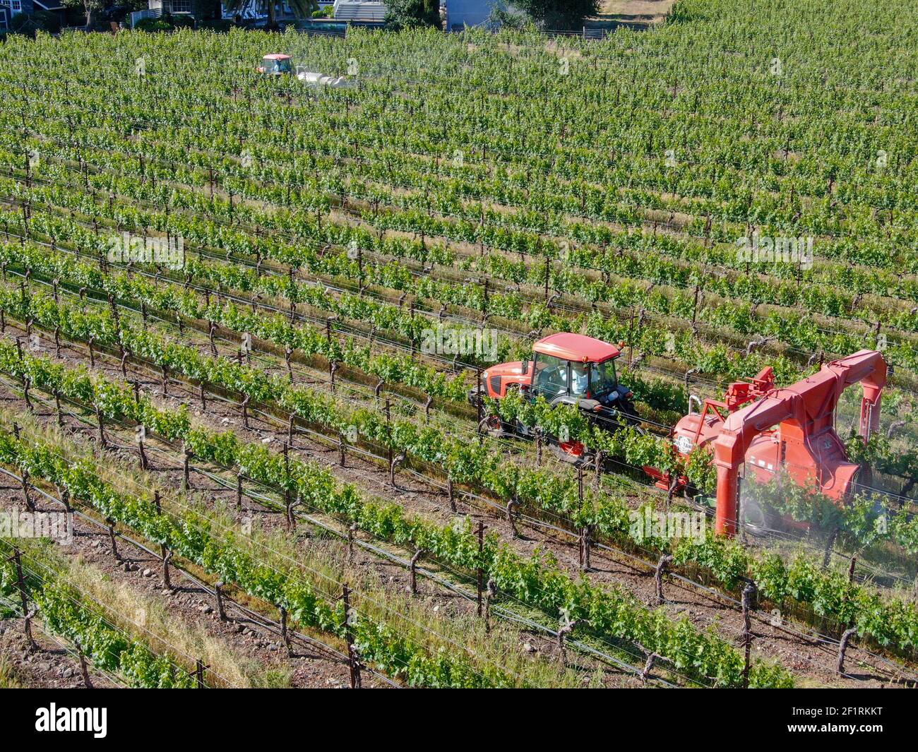 Herbicides grapes hi-res stock photography and images - Alamy