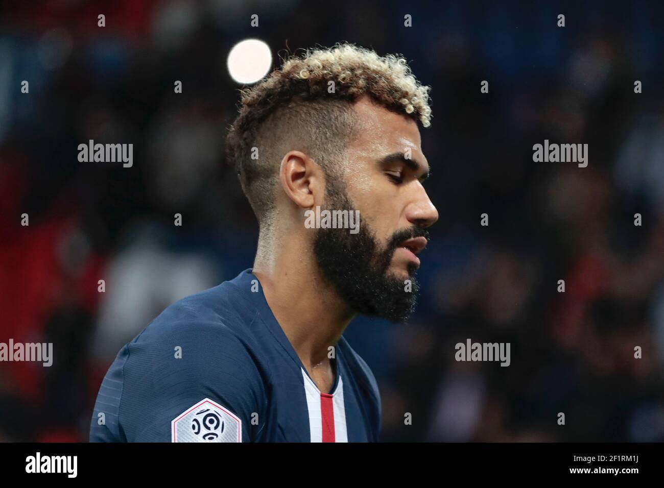 Choupo moting paris hi-res stock photography and images - Alamy