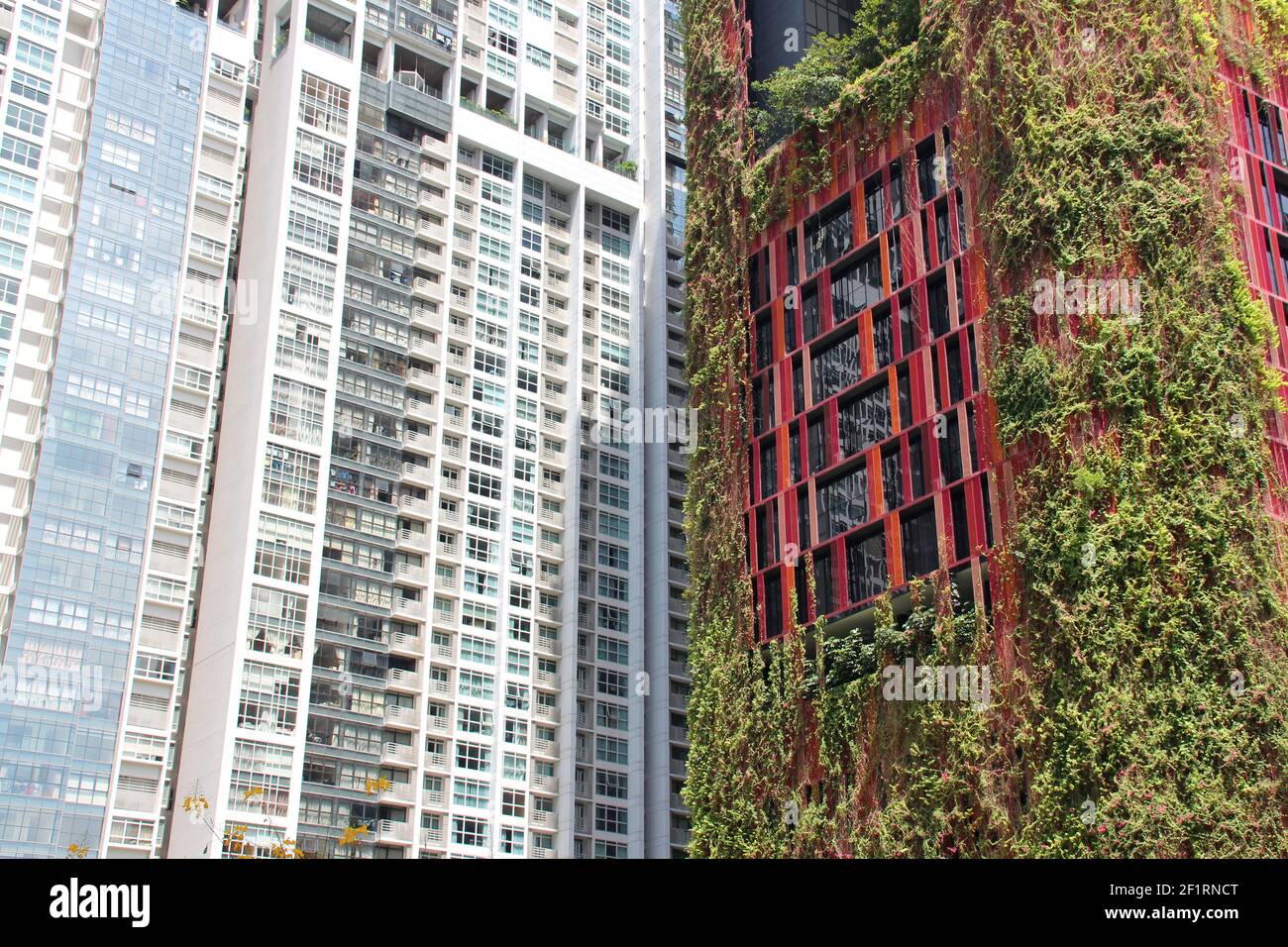 modern glass buildings in singapore Stock Photo - Alamy
