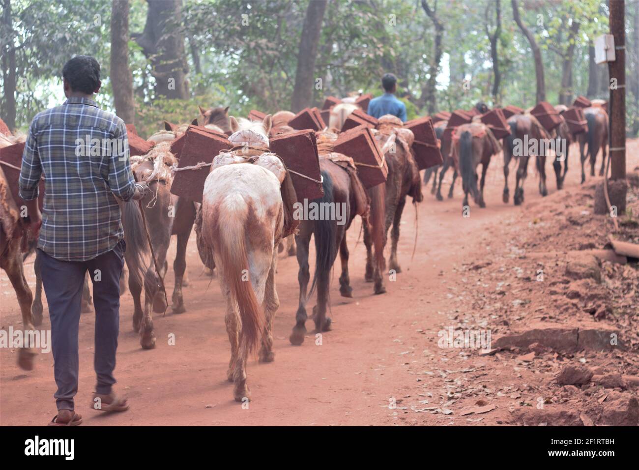 Horse carrying load hi-res stock photography and images - Alamy