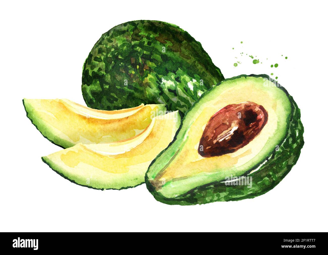 Avocado Watercolor