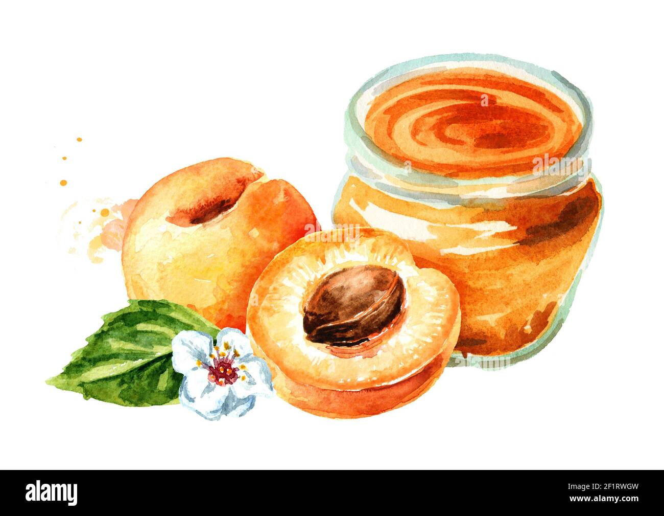 Organic fruit jam. Glass jar of apricot marmalade and fresh fruits ...
