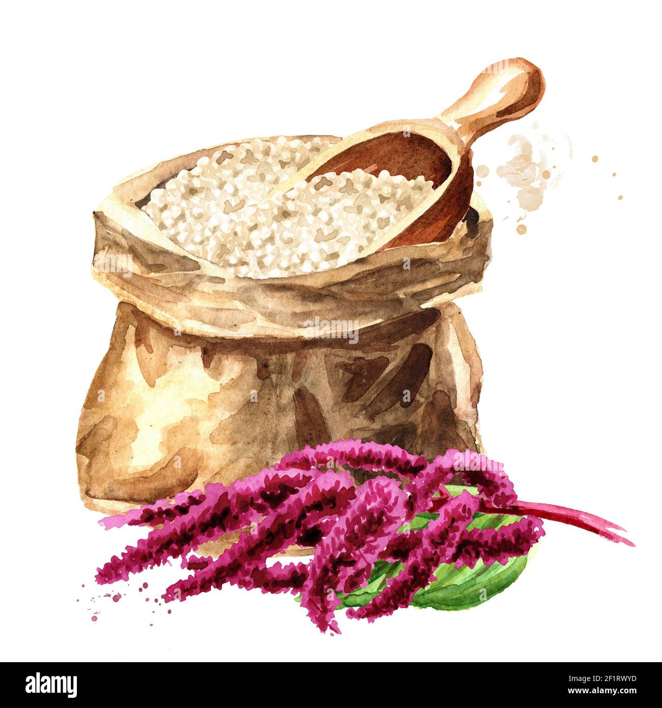 Amaranth plant and seeds paper sack. Hand drawn watercolor illustration ...