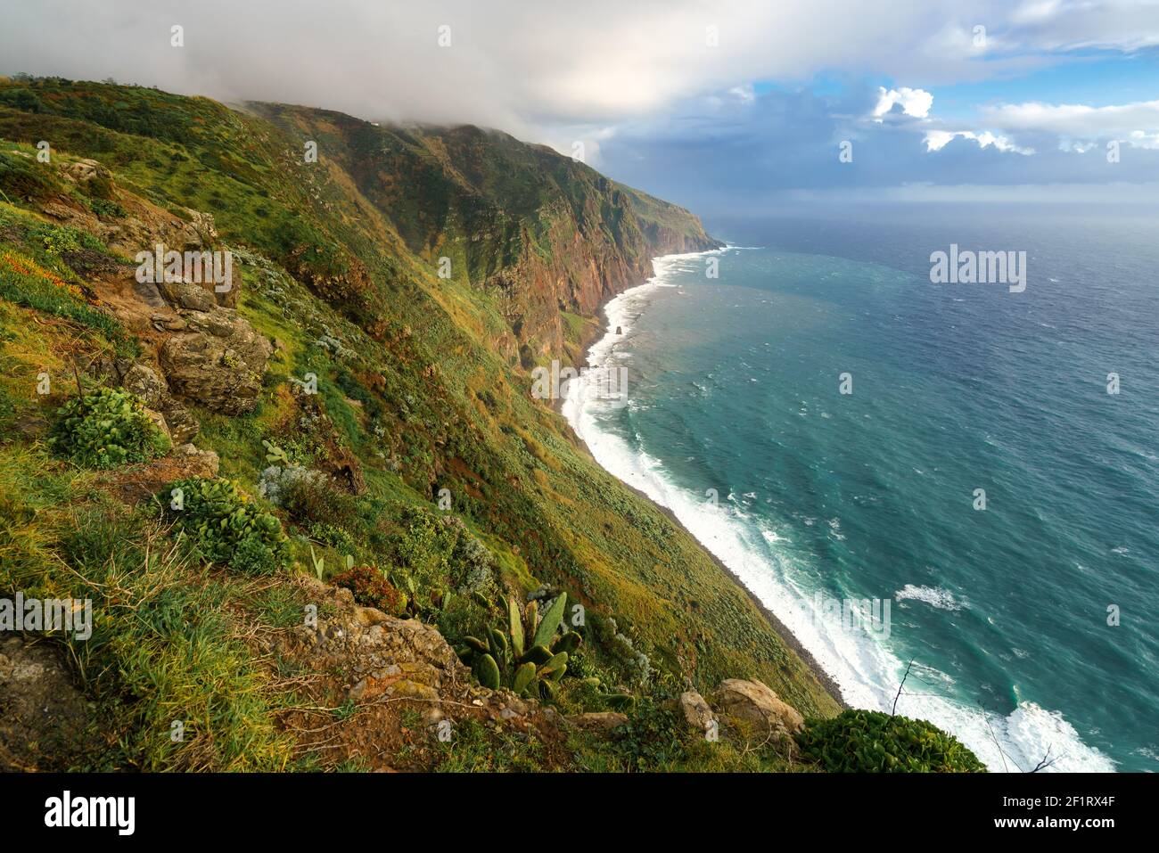 Pargo tropical hi-res stock photography and images - Alamy