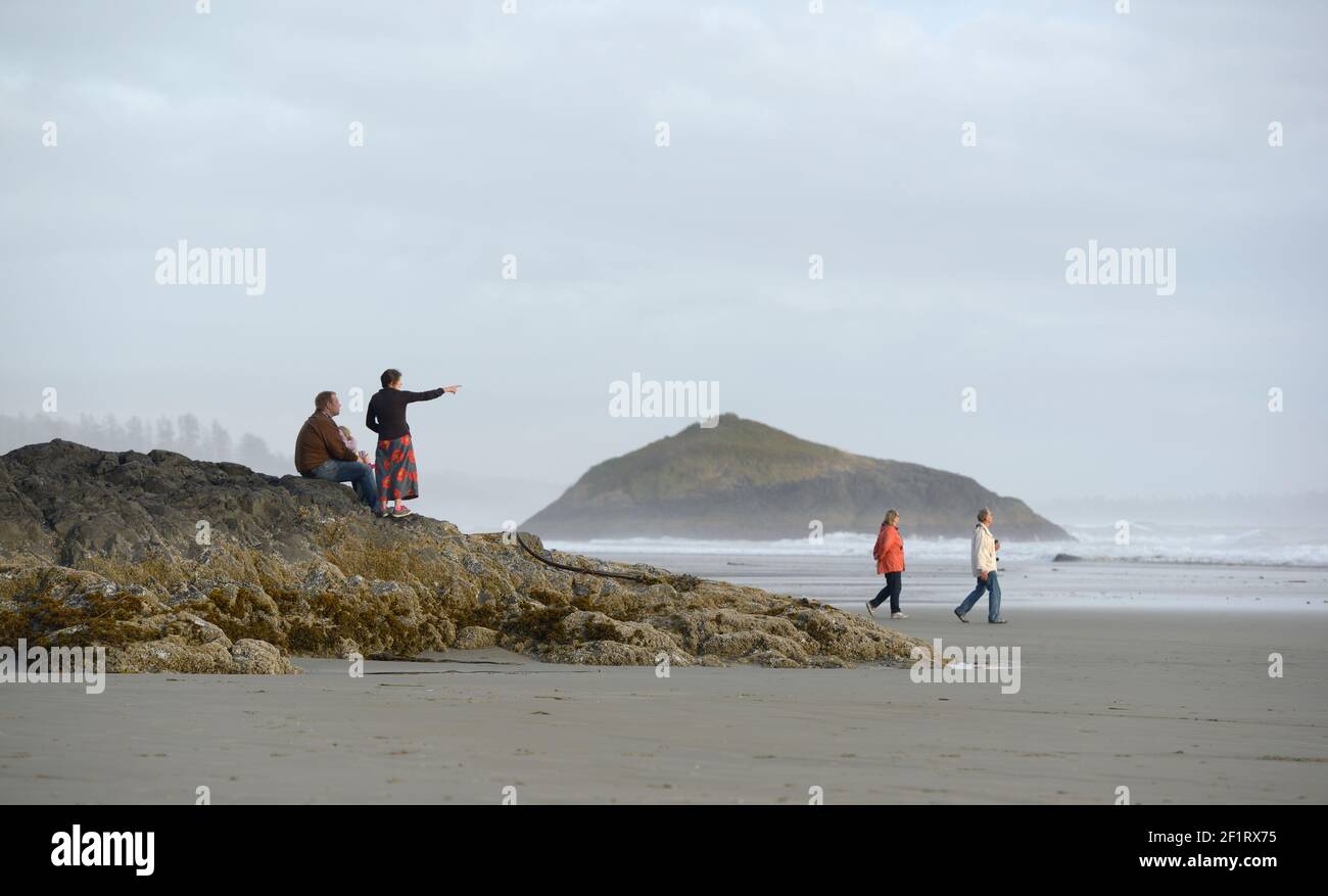 People looking out to the Pacific Ocean, Long Beach, Pacific Rim ...